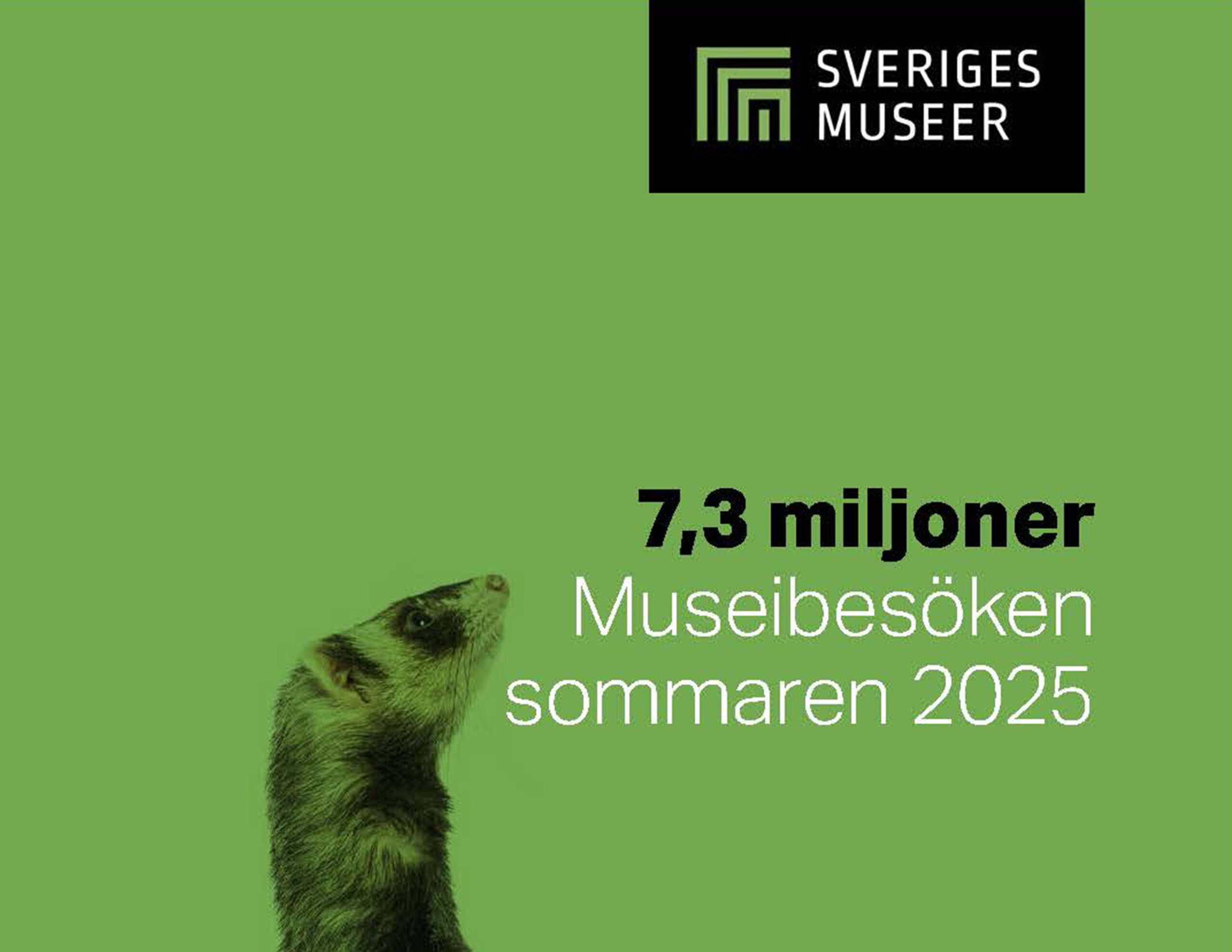 Museerna lockar fler besökare i sommar | Sveriges Museer